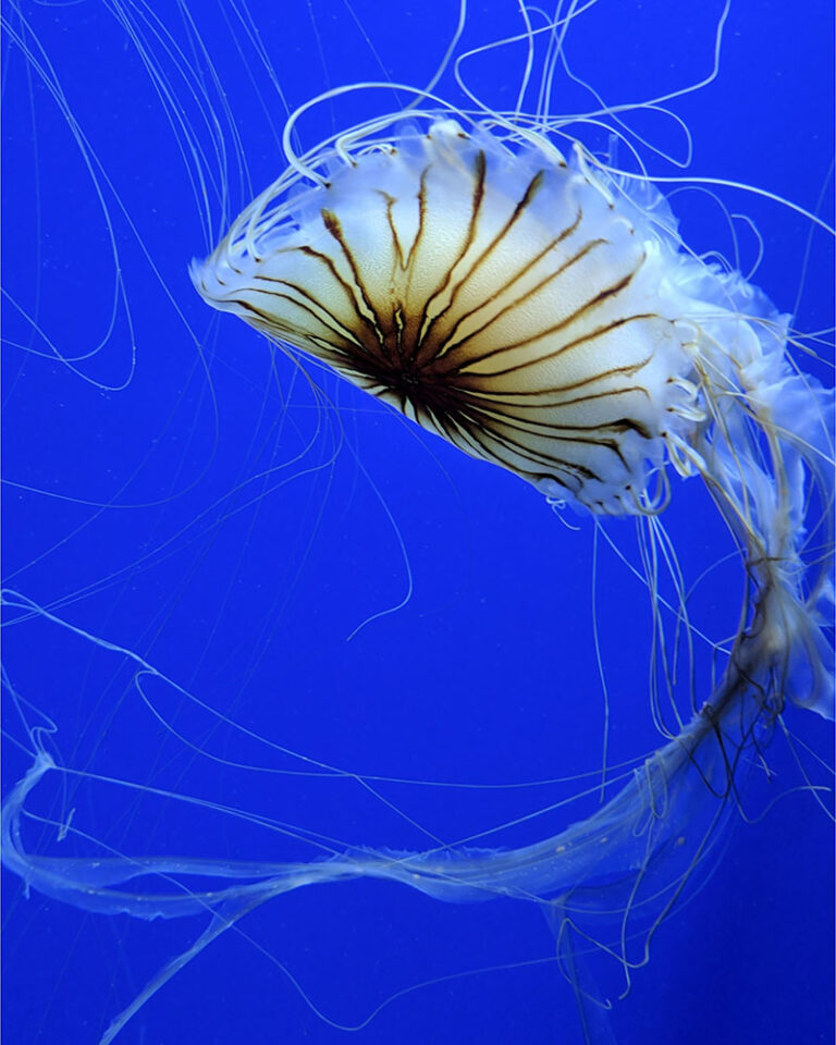 Why use Photofy- The Before and After - Photofy