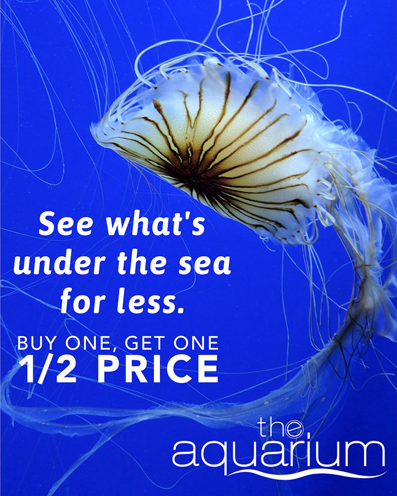 Why use Photofy- The Before and After - Photofy